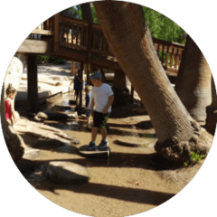 Daily Activities - Phoenix Zoo