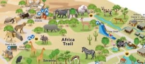 Africa Trail - Phoenix Zoo