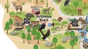 Arizona Trail Wildlife Habitats | Phoenix Zoo