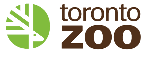 Black-Footed Ferret Conservation | Phoenix Zoo