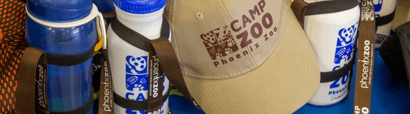 Virtual Summer Camp: Camp Zoo to You | Phoenix Zoo