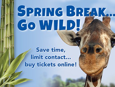 Spring Break Guide - Phoenix Zoo
