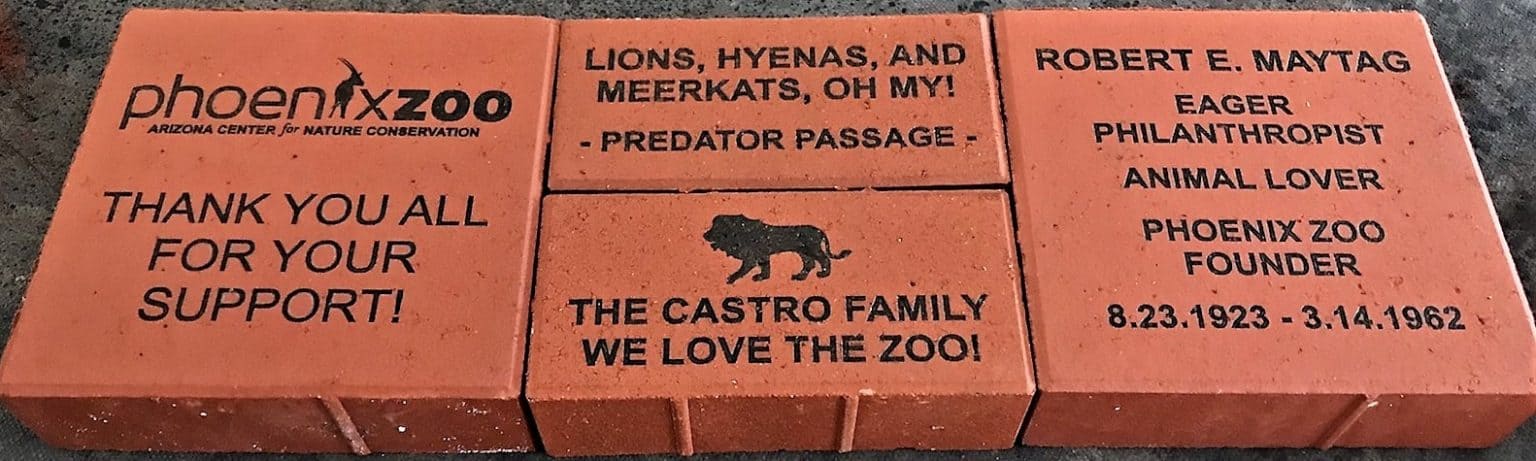 African Predator Passage | Phoenix Zoo