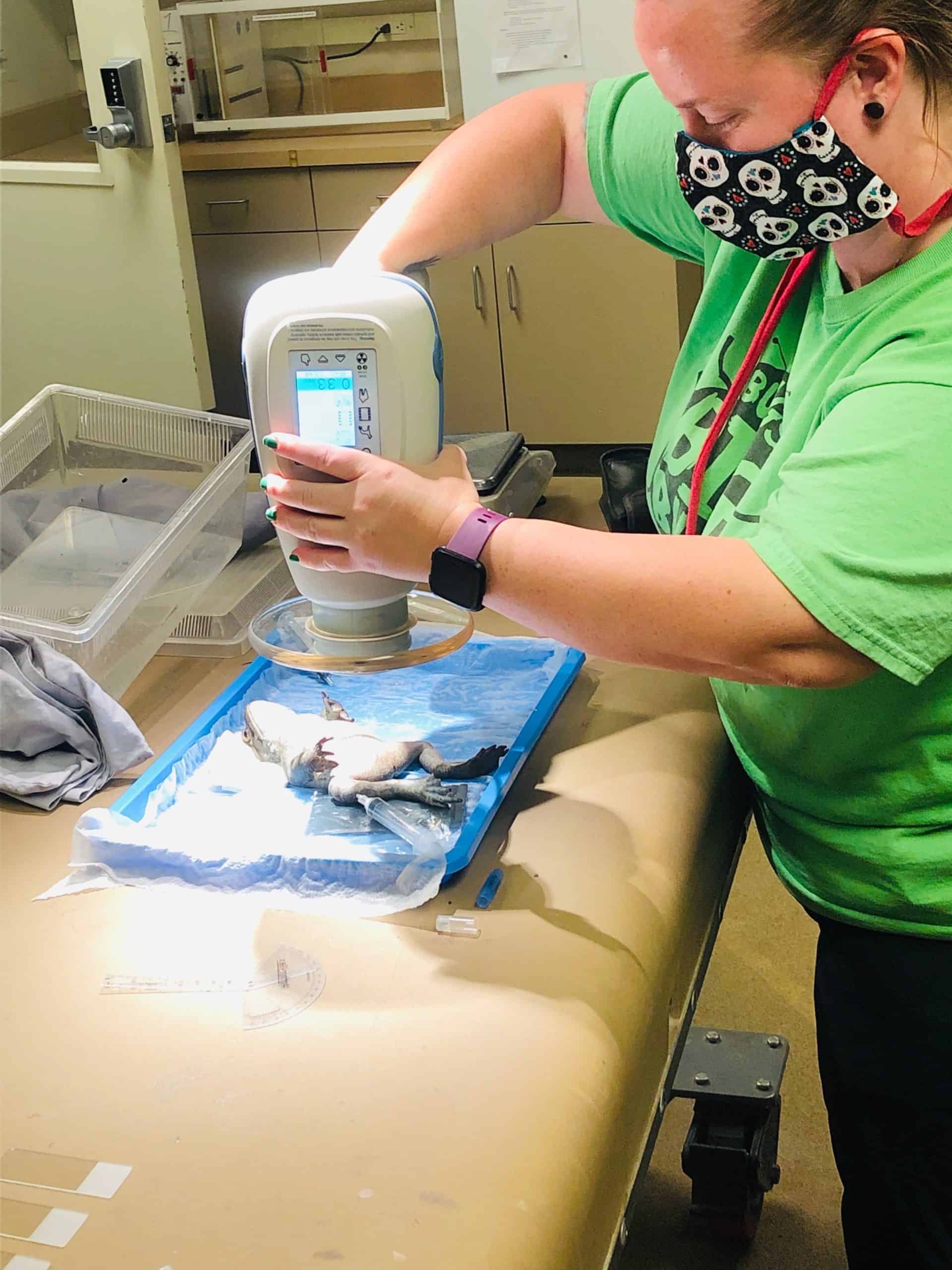 National Vet Tech Week - Phoenix Zoo