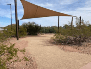 Wild Big Cats of Arizona Exhibits | Phoenix Zoo