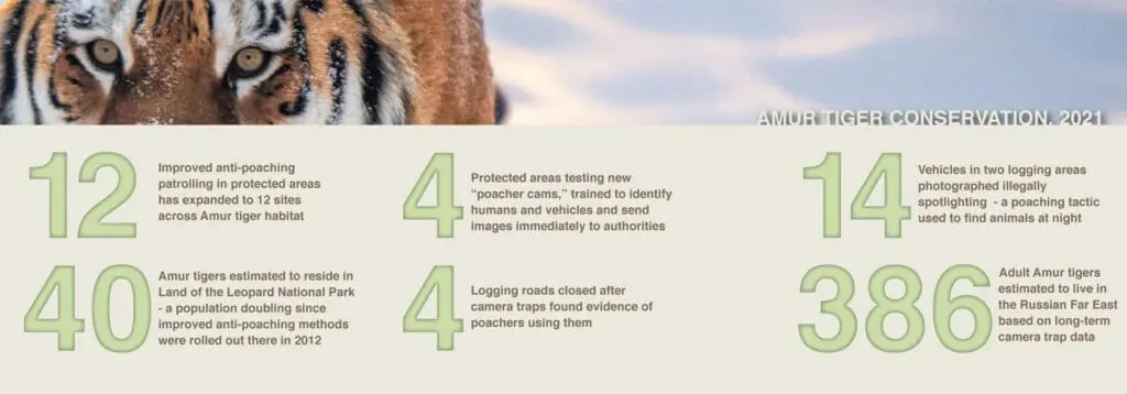 Tiger Conservation Campaign 2021 Annual Report - Phoenix Zoo