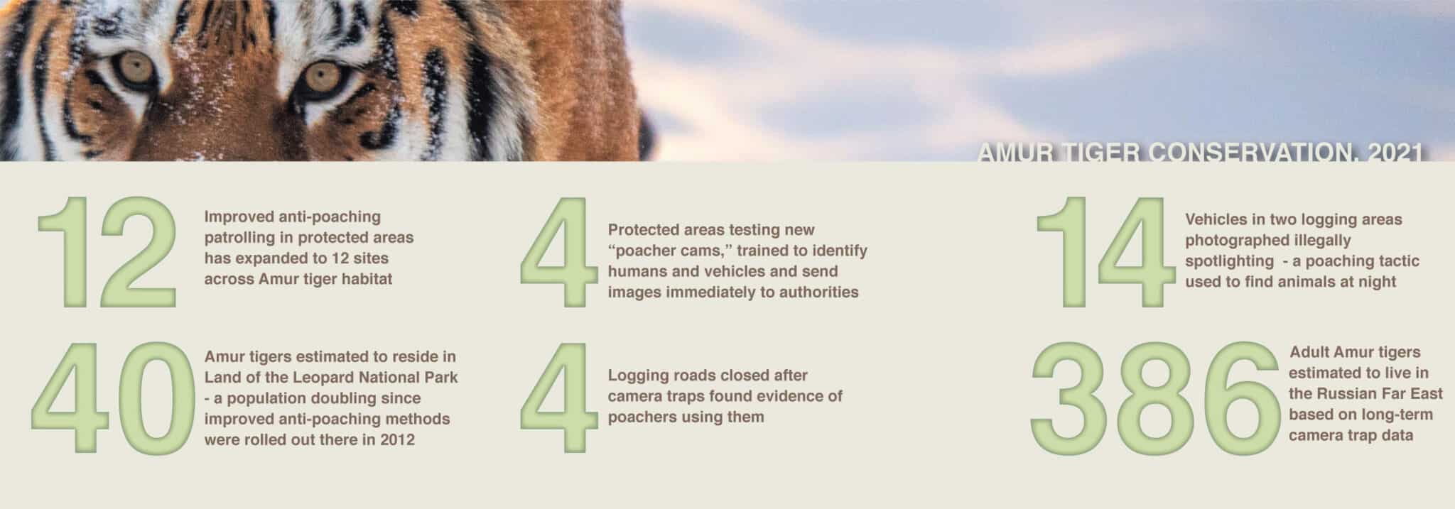 Tiger Conservation Campaign 2021 Annual Report - Phoenix Zoo