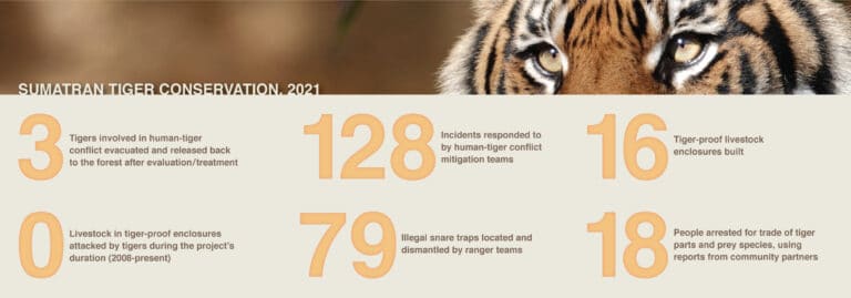Tiger Conservation Campaign 2021 Annual Report - Phoenix Zoo
