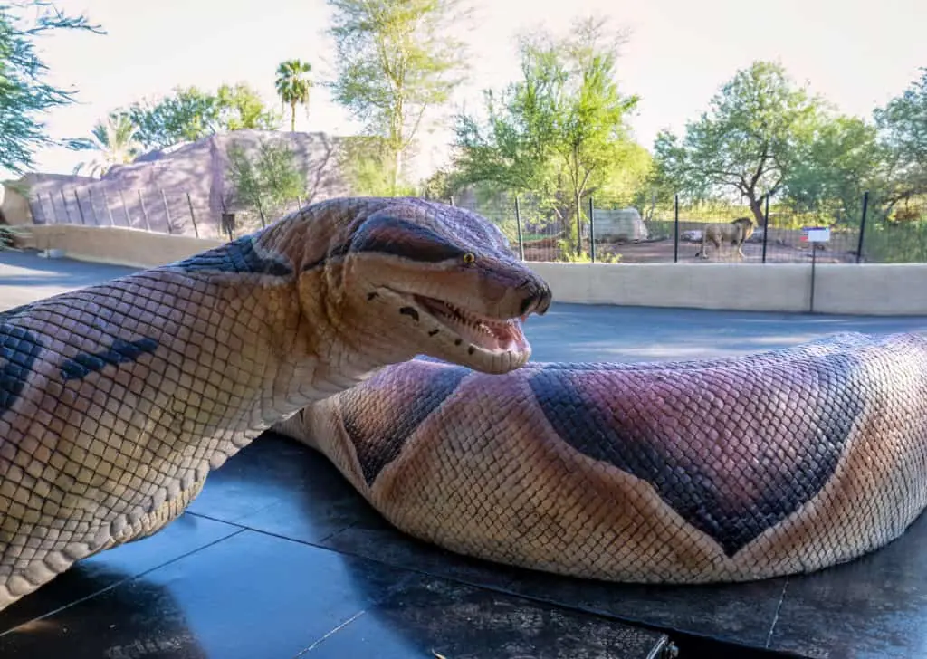 (PHOTOS) The Dinosaurs Have Arrived - Phoenix Zoo