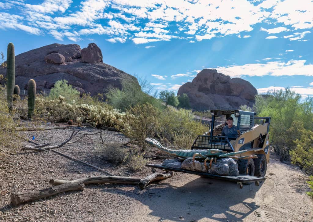(PHOTOS) The Dinosaurs Have Arrived - Phoenix Zoo