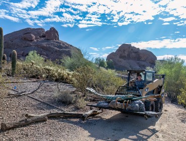 (PHOTOS) The Dinosaurs Have Arrived - Phoenix Zoo