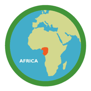 Mandrill - Phoenix Zoo