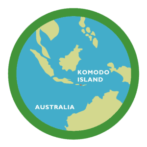 Komodo Dragon - Phoenix Zoo