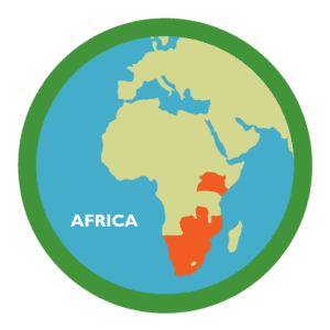 Southern White Rhinoceros - Phoenix Zoo