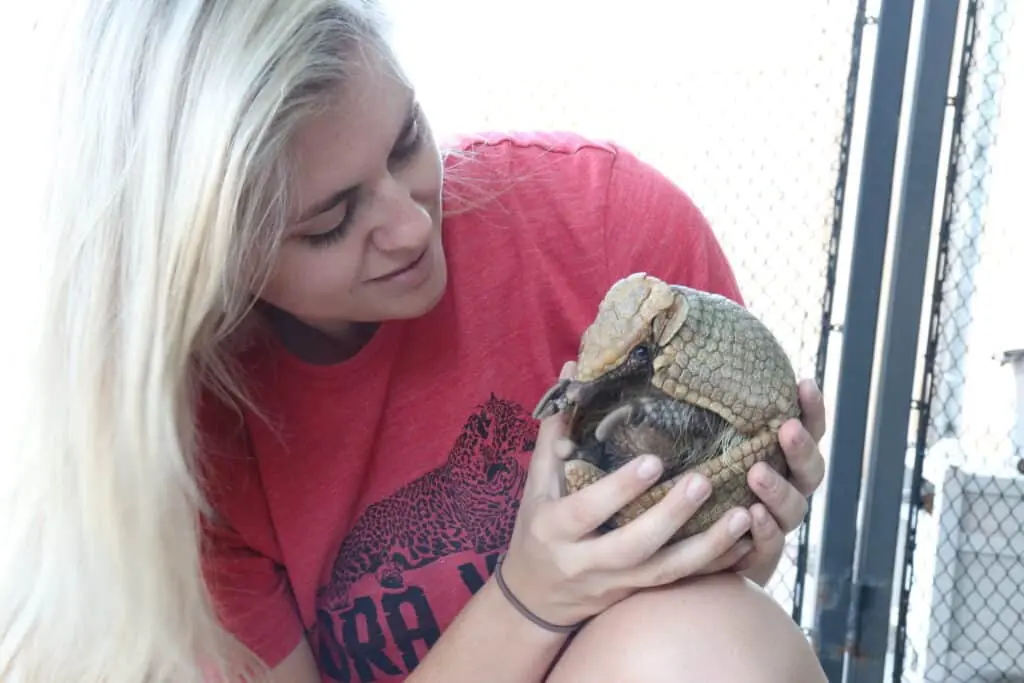 Behind-the-Scenes & Guided Zoo Tours | Phoenix Zoo