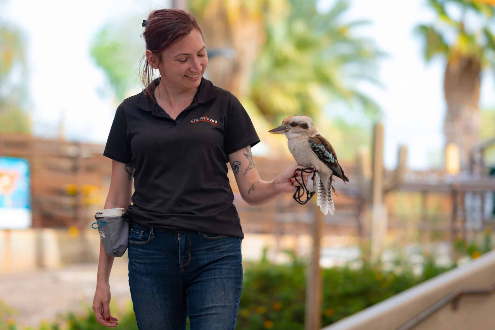 Animal Presentations & Zoo Keeper Talks | Phoenix Zoo