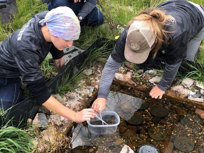 Conservation Projects & Partnerships | Phoenix Zoo