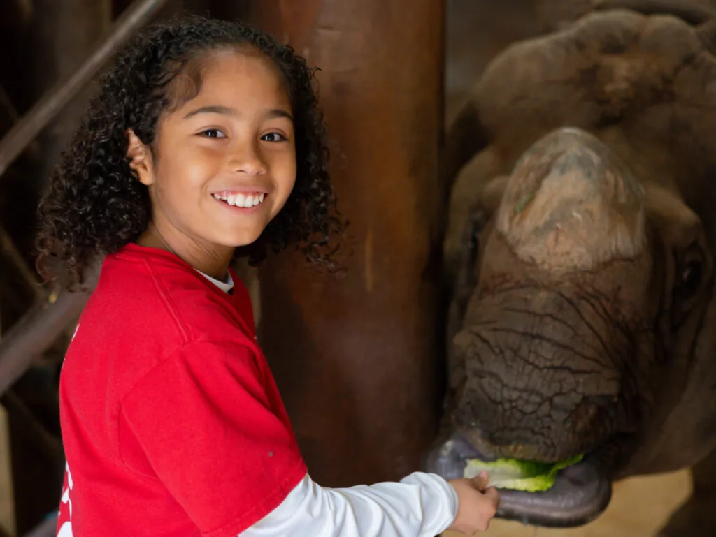 Camp Zoo: Open Year Round | Phoenix Zoo