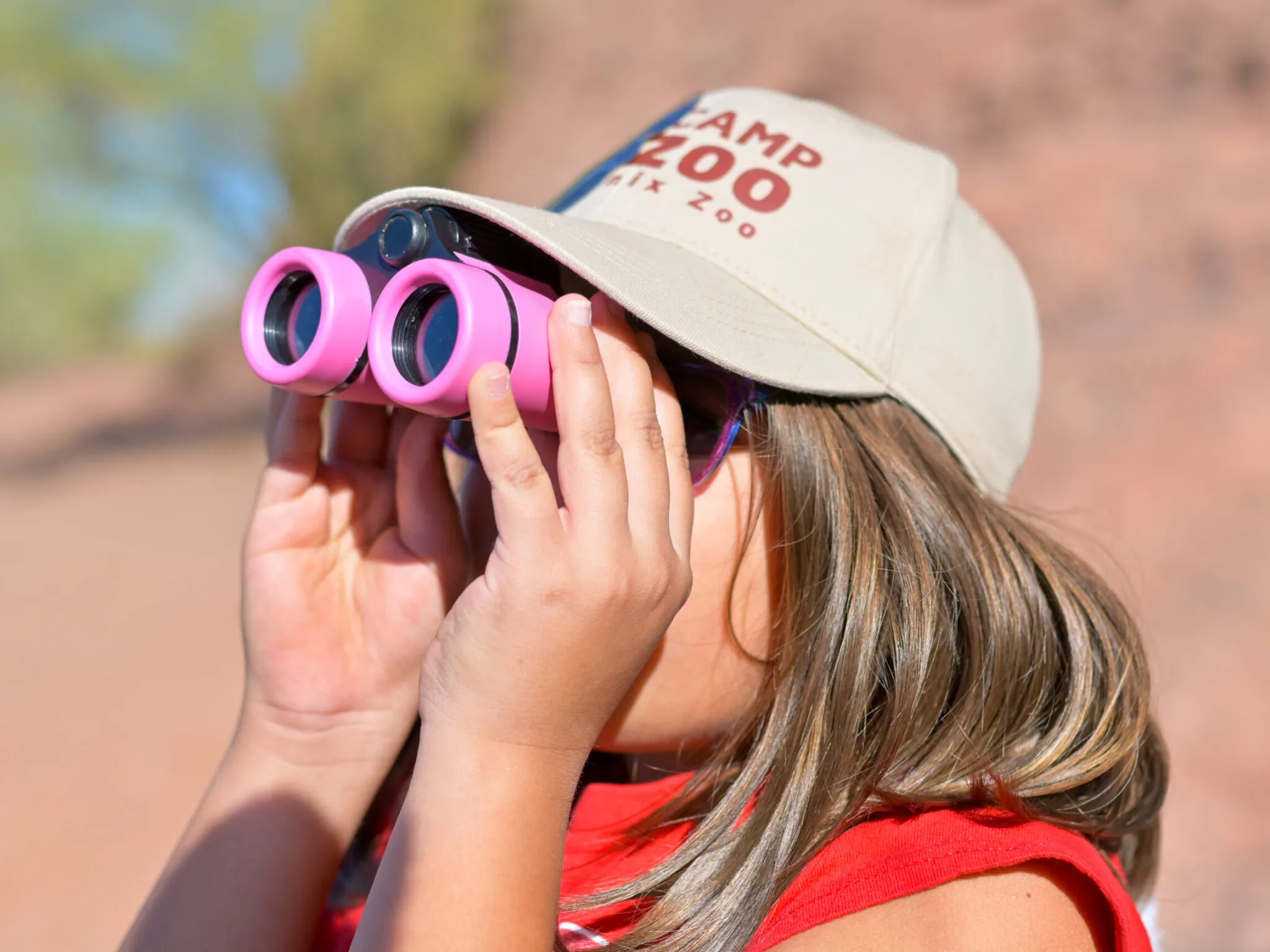 Learn About African Lions | Phoenix Zoo