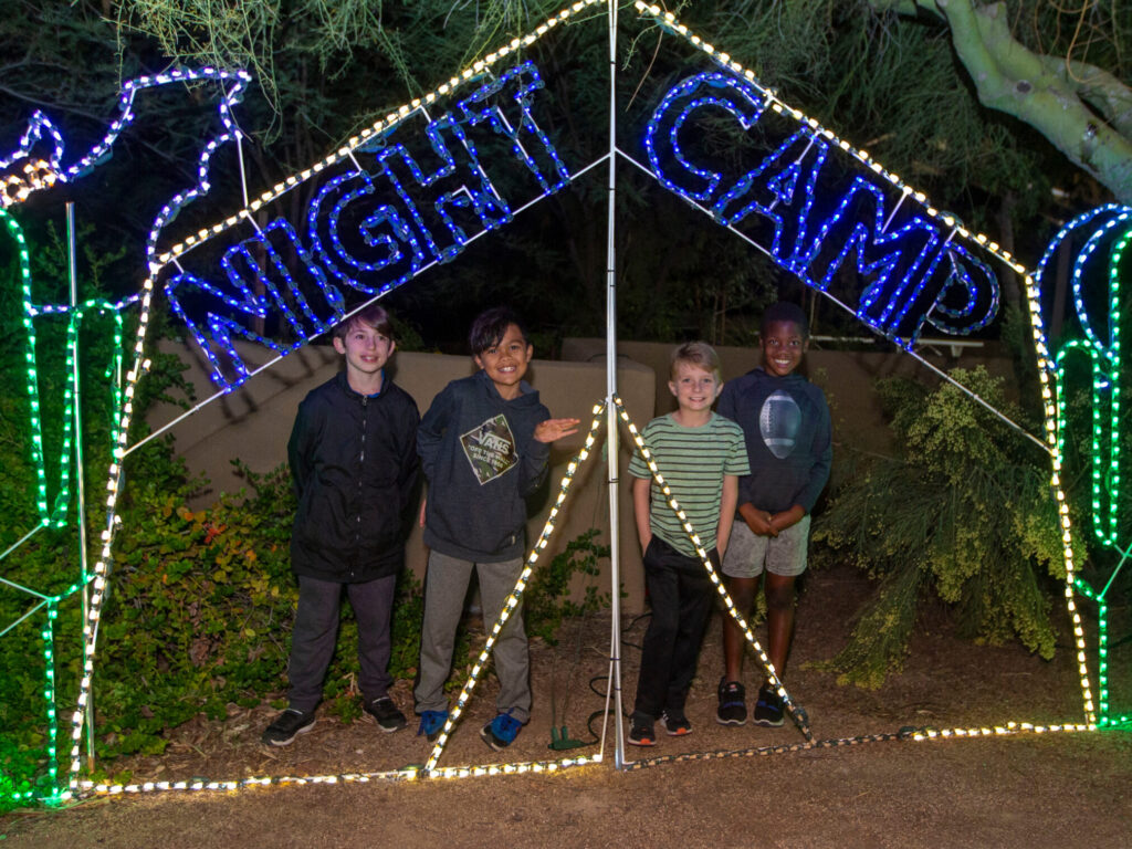 Night Camps - Phoenix Zoo
