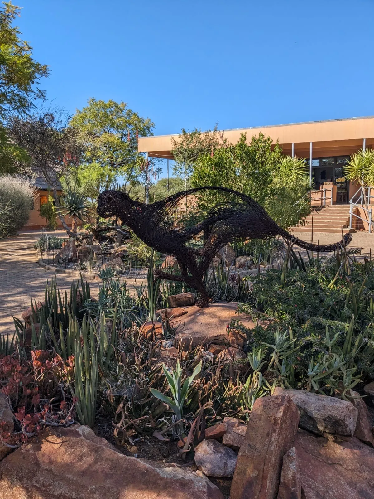 Cheetah Conservation Fund - Phoenix Zoo