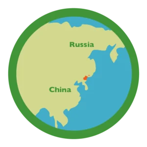 Amur Leopard - Phoenix Zoo