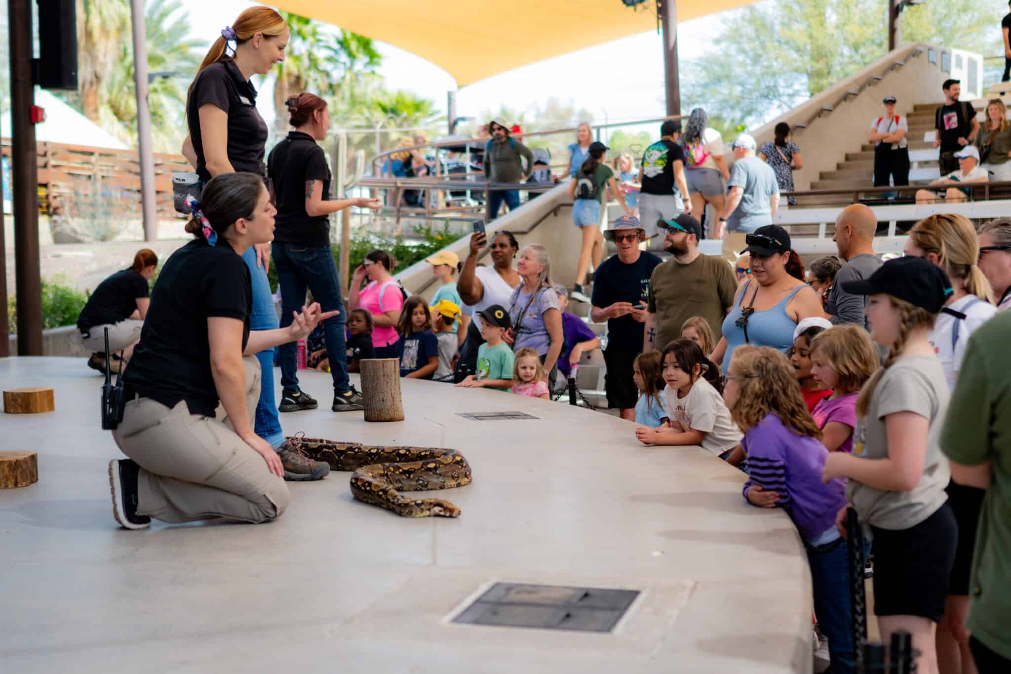 Animal Presentations & Zoo Keeper Talks | Phoenix Zoo
