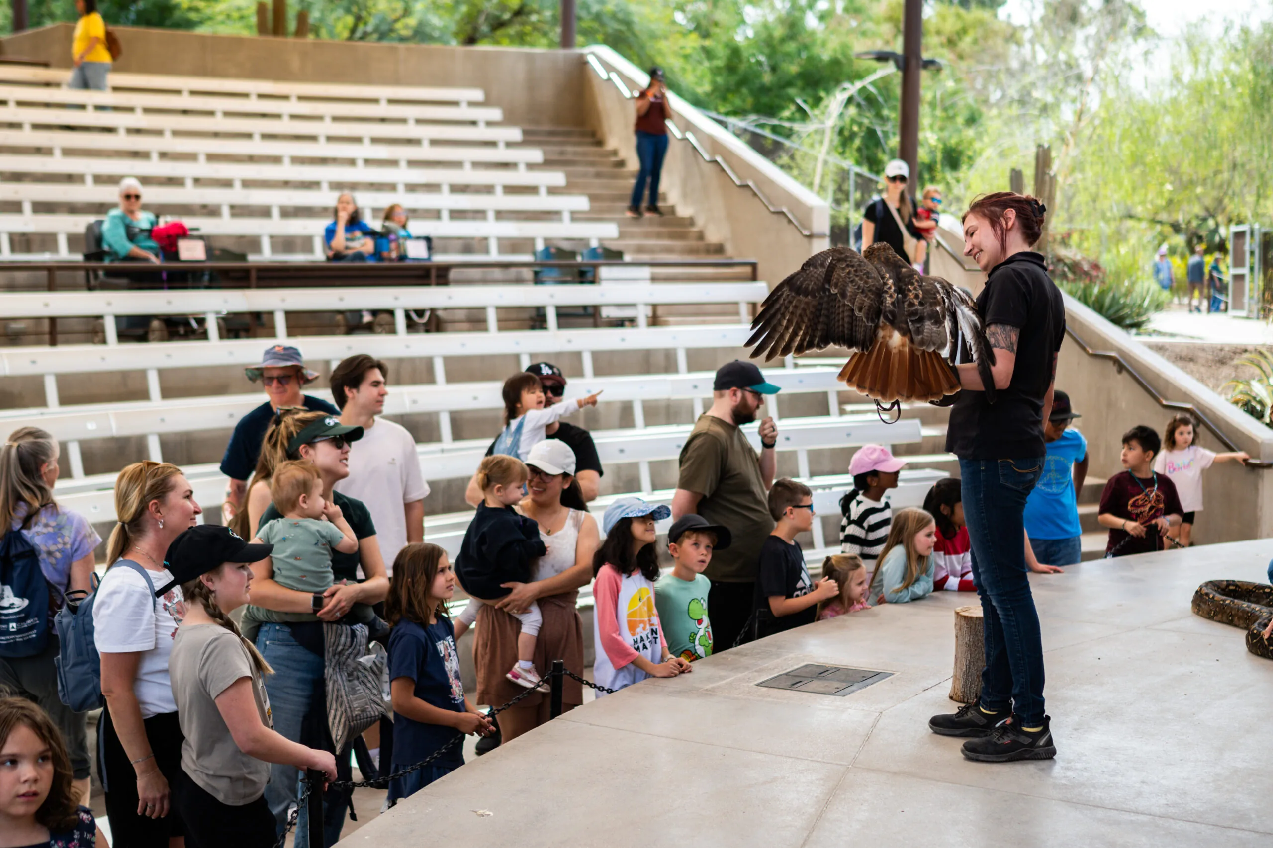 Animal Presentations & Zoo Keeper Talks | Phoenix Zoo