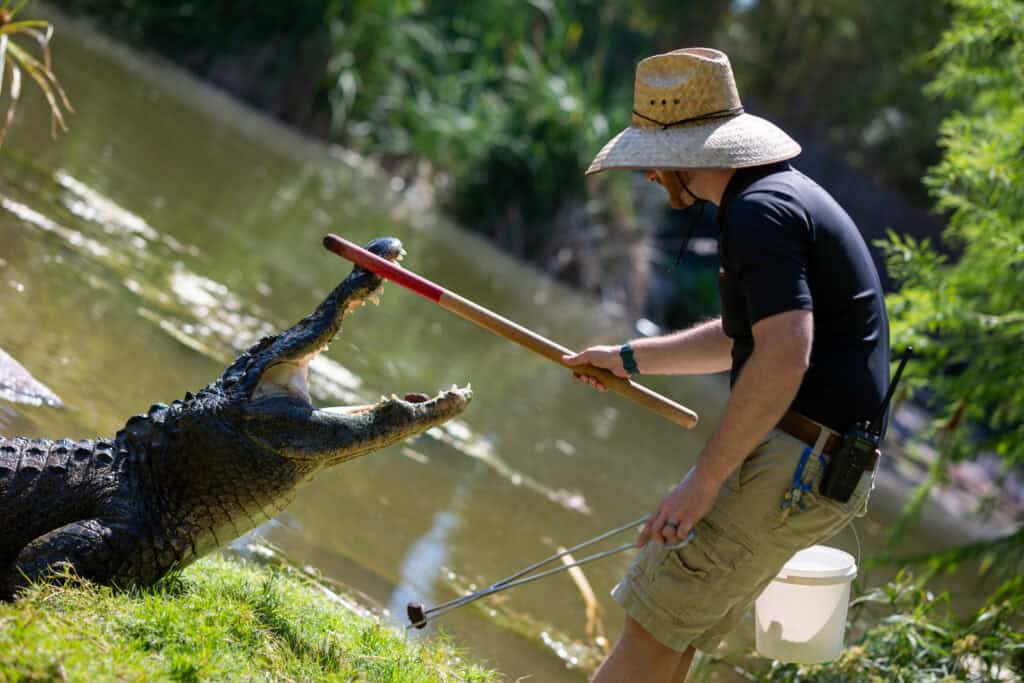 Animal Presentations & Zoo Keeper Talks | Phoenix Zoo