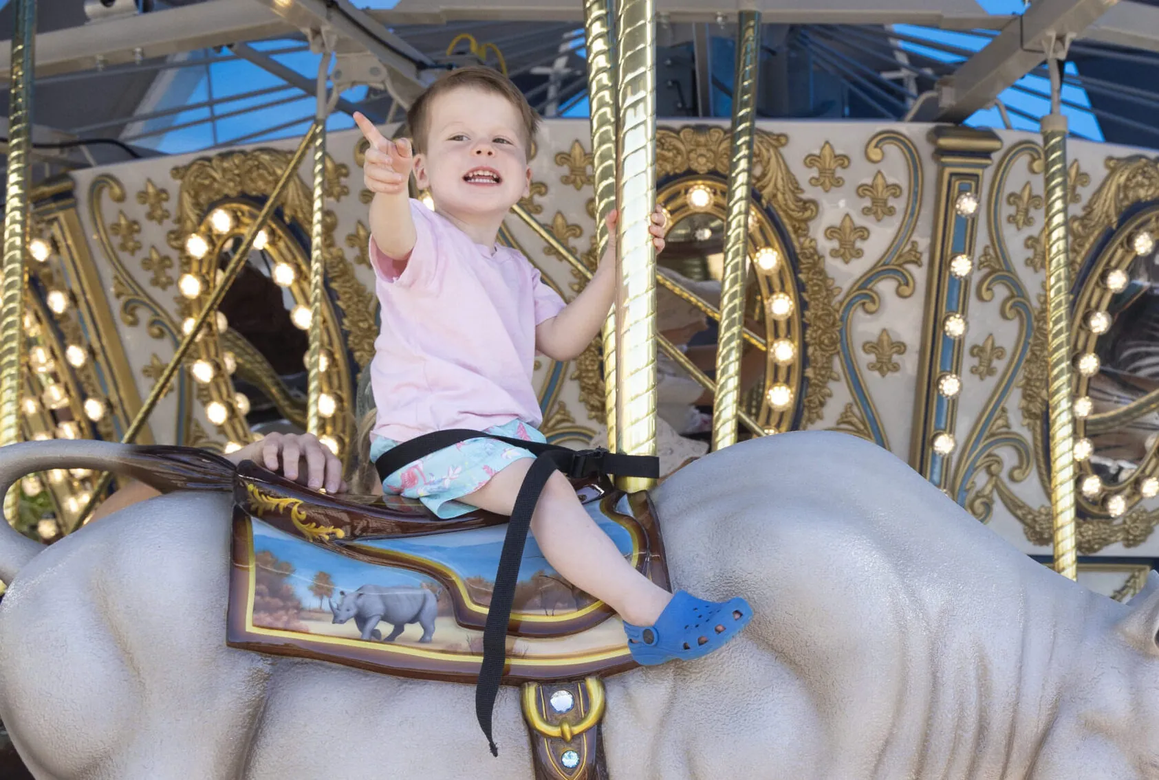 Lakeside Carousel - Phoenix Zoo