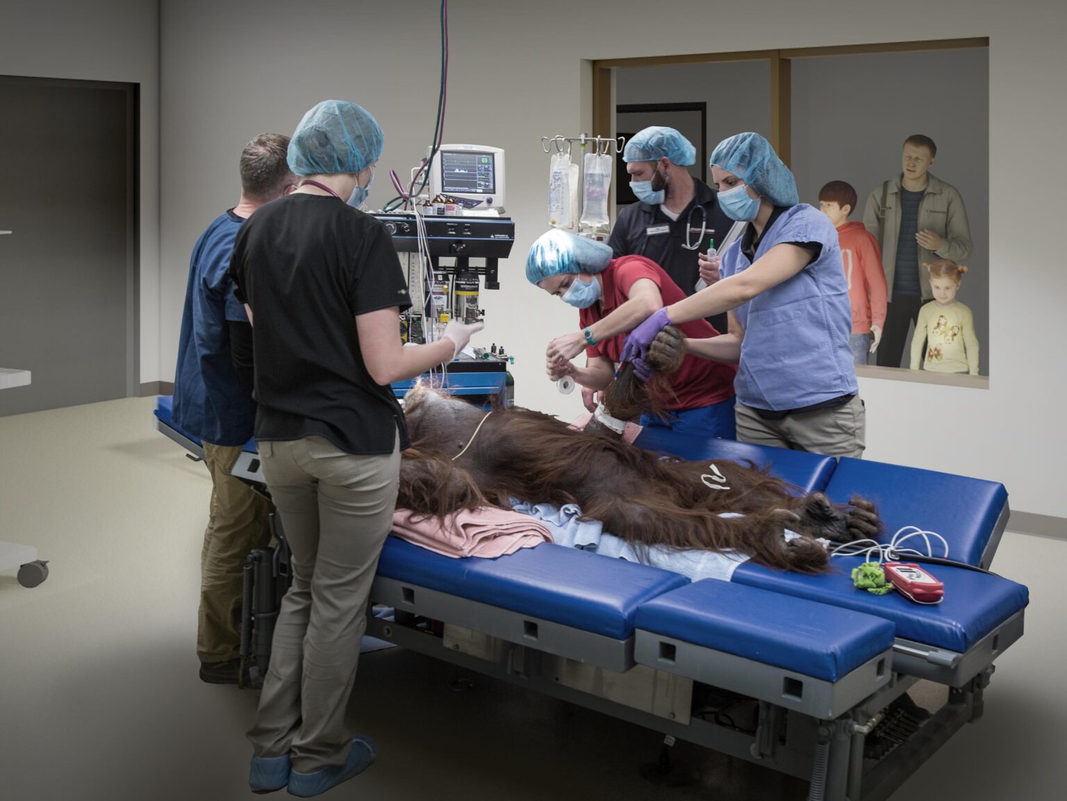 Visit the Phoenix Zoo: Tickets, Hours, & More | Phoenix Zoo