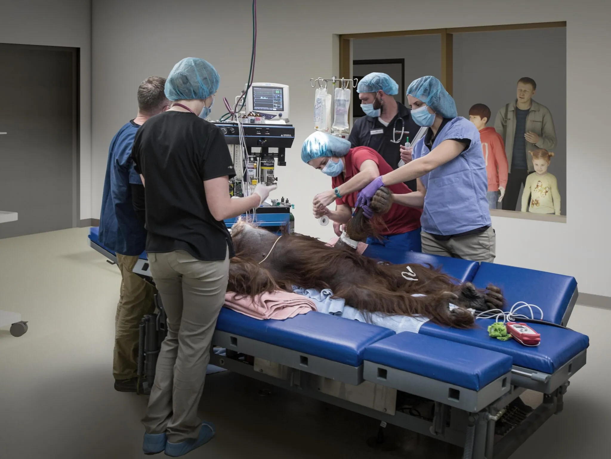 Animal Tours - Phoenix Zoo