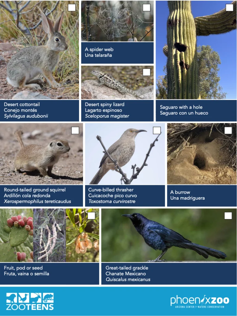Scavenger Hunts - Phoenix Zoo