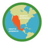 Horned Lizards - Phoenix Zoo