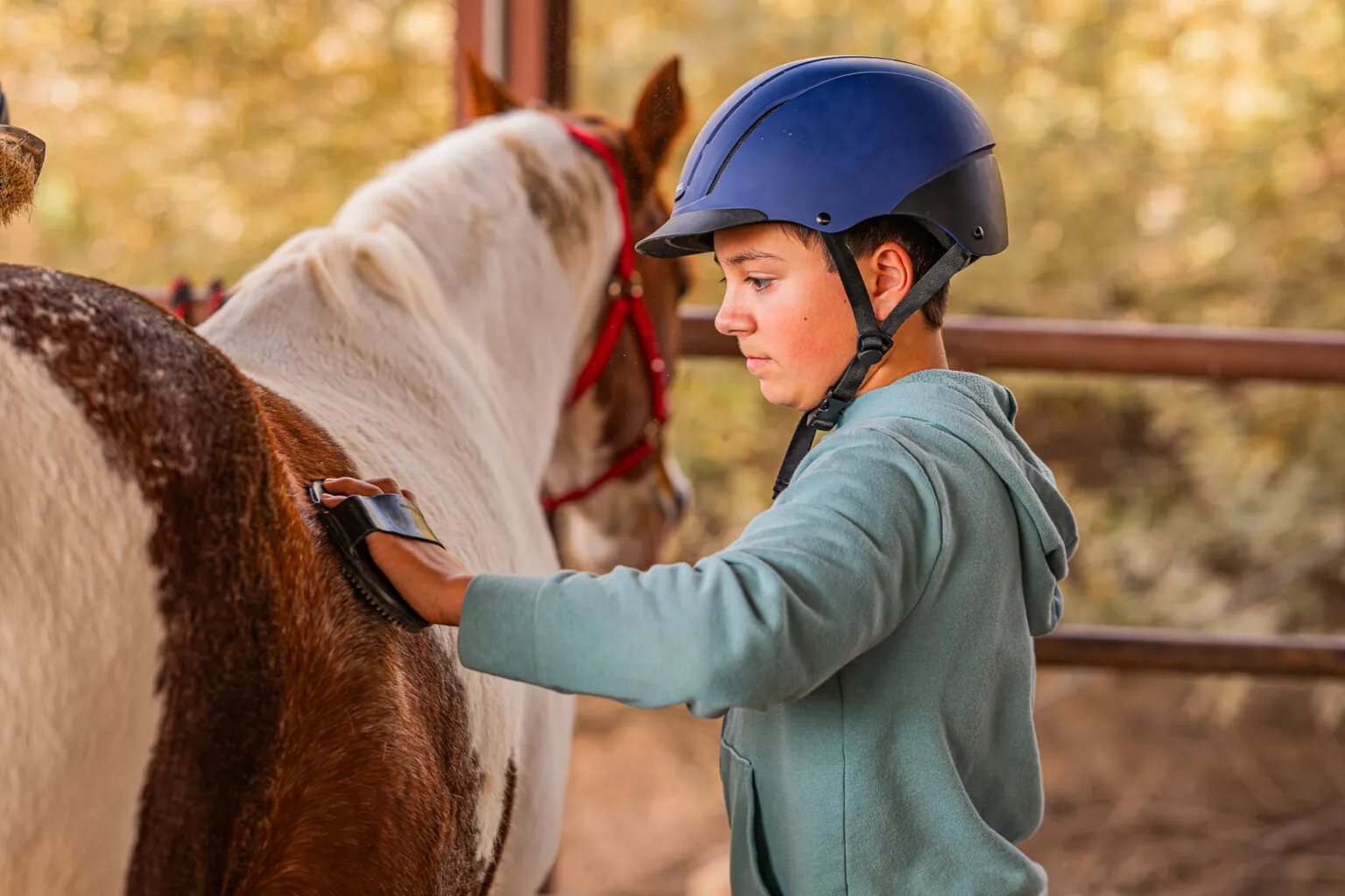 Zoo Education Programs for All Ages | Phoenix Zoo