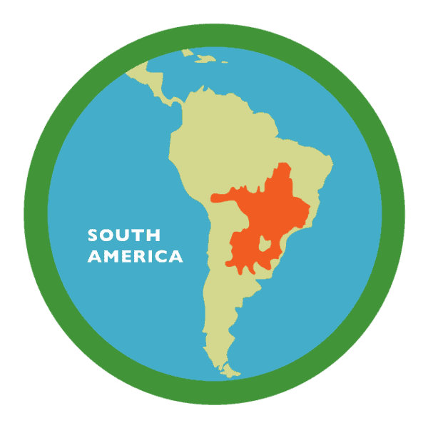 Maned Wolf - Phoenix Zoo