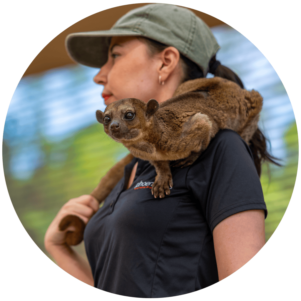 Behind-the-Scenes & Guided Zoo Tours | Phoenix Zoo