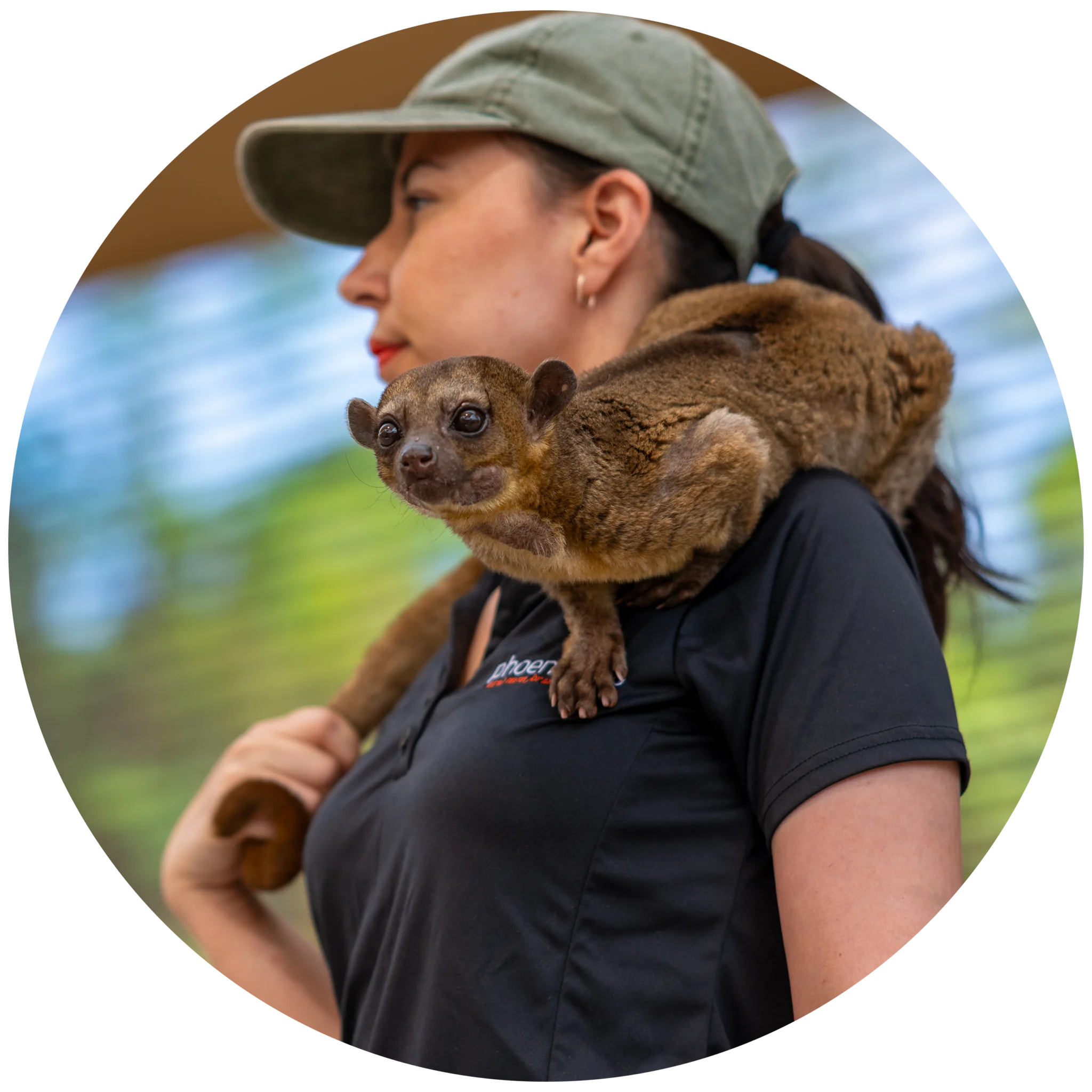 Behind-the-Scenes & Guided Zoo Tours | Phoenix Zoo