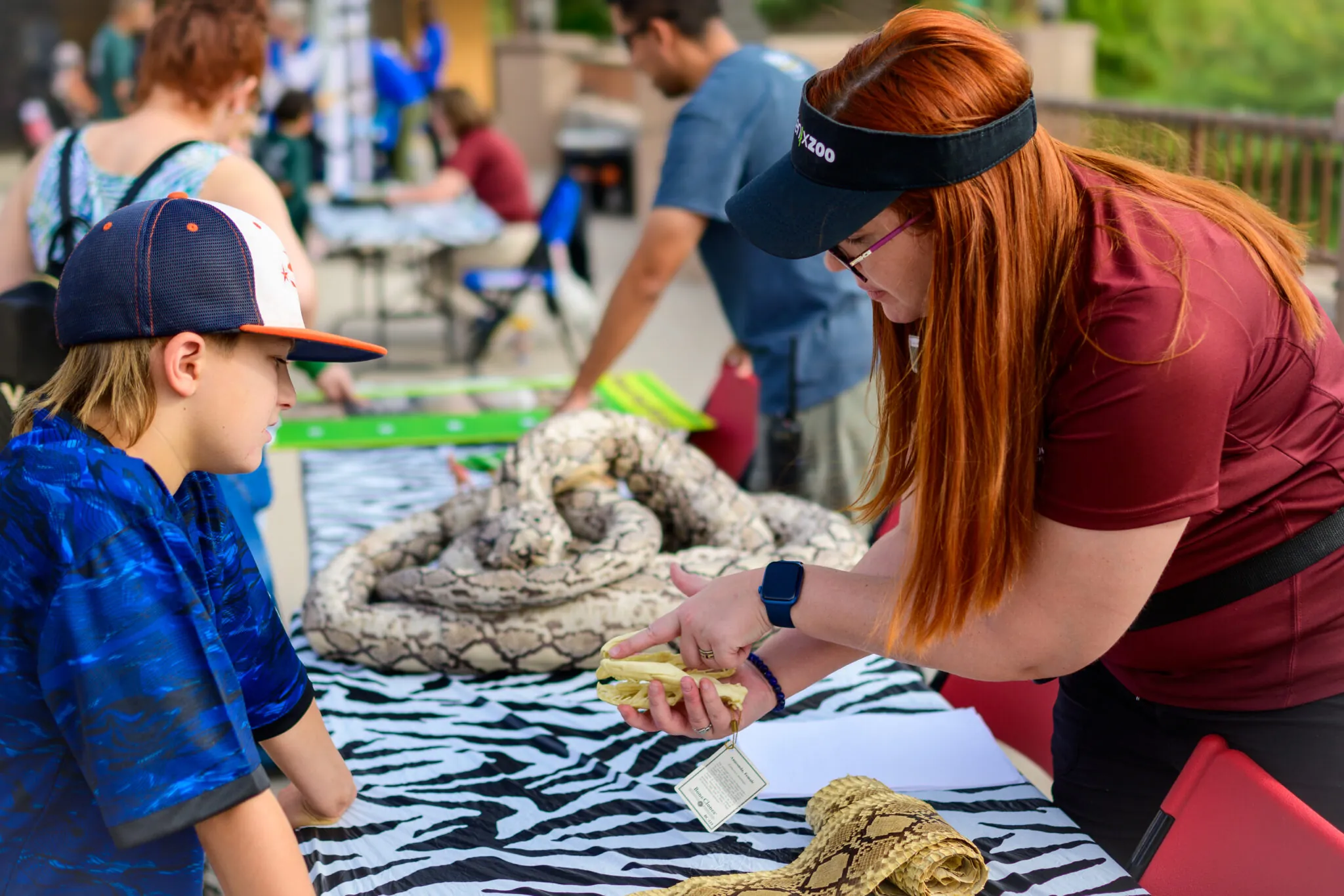 Zoo Education Programs for All Ages | Phoenix Zoo