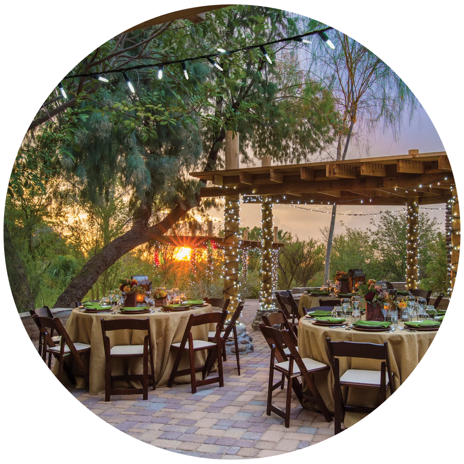 Events - Phoenix Zoo