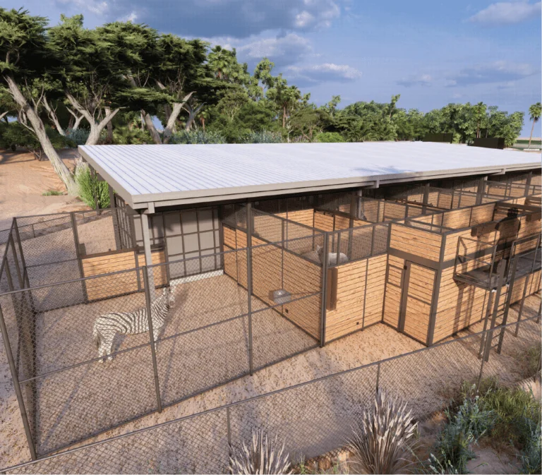 Visit the Phoenix Zoo: Tickets, Hours, & More | Phoenix Zoo