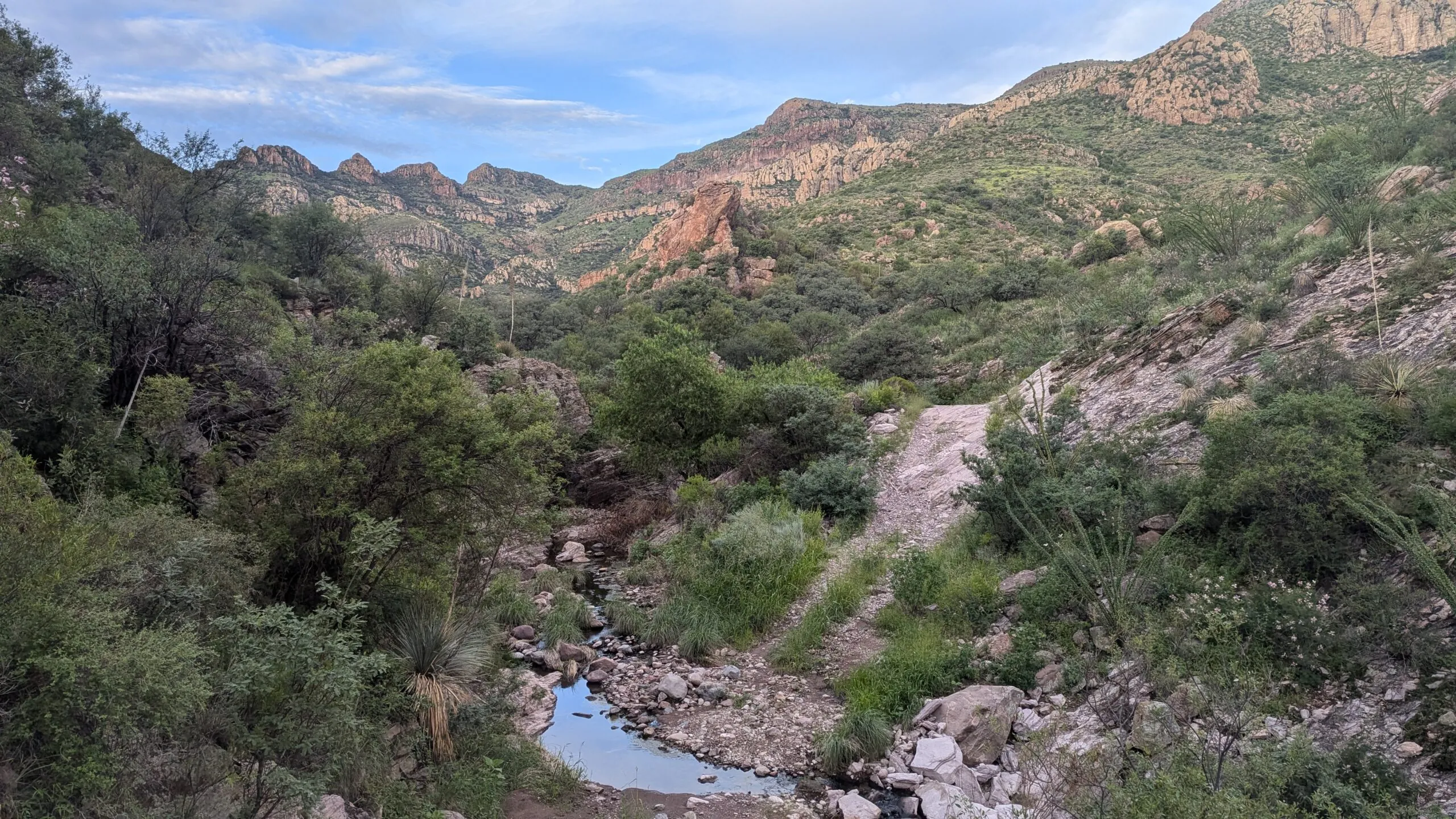 Field Conservation Research Projects | Phoenix Zoo