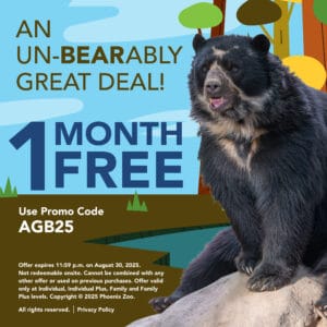 Visit the Phoenix Zoo: Tickets, Hours, & More | Phoenix Zoo