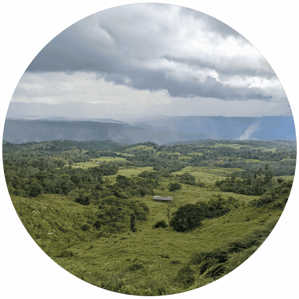 Field Conservation Research Projects | Phoenix Zoo