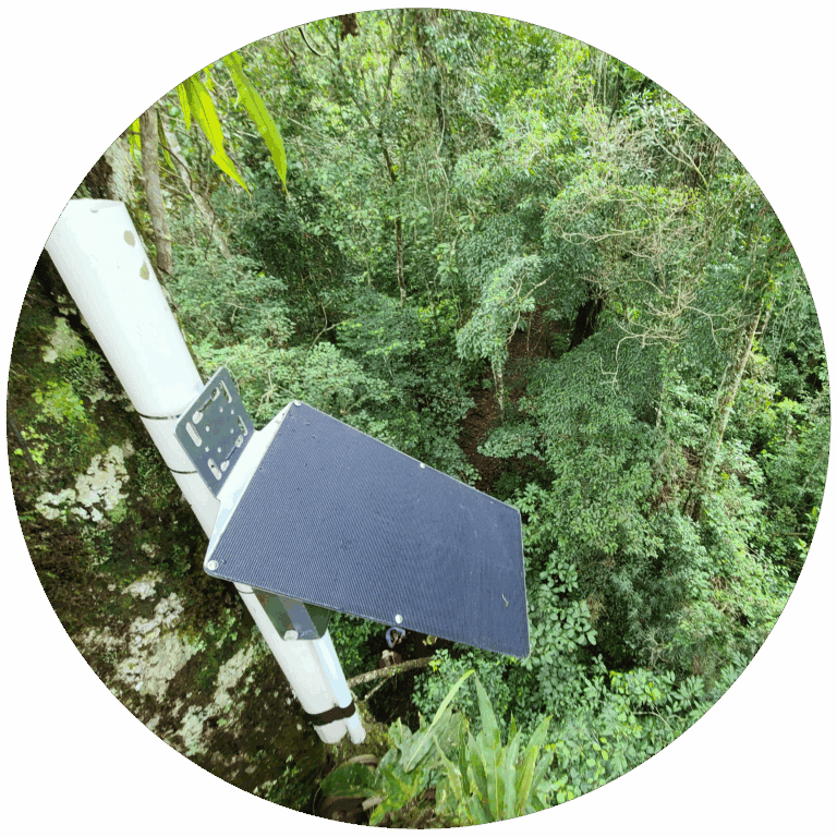 Field Conservation Research Projects | Phoenix Zoo