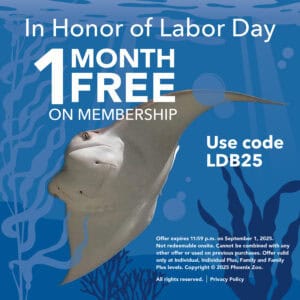 Visit the Phoenix Zoo: Tickets, Hours, & More | Phoenix Zoo