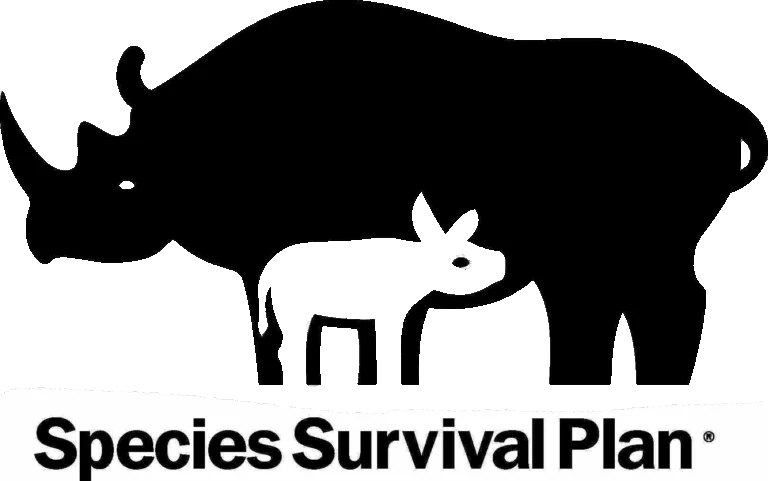 Animals & Wildlife | Phoenix Zoo